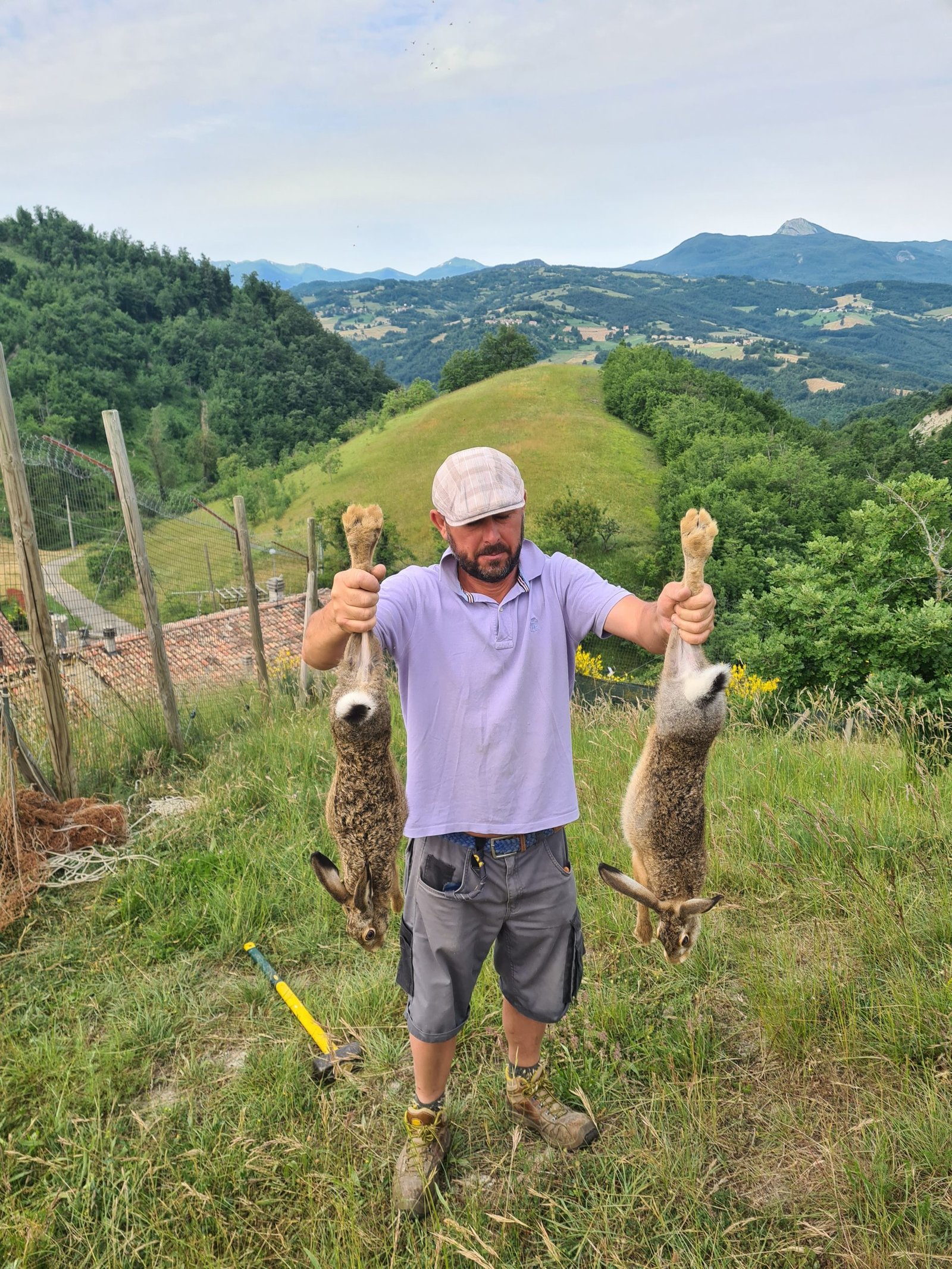 Le nostre lepri, si mimetizzano con il territorio I nostri recinti, le ...